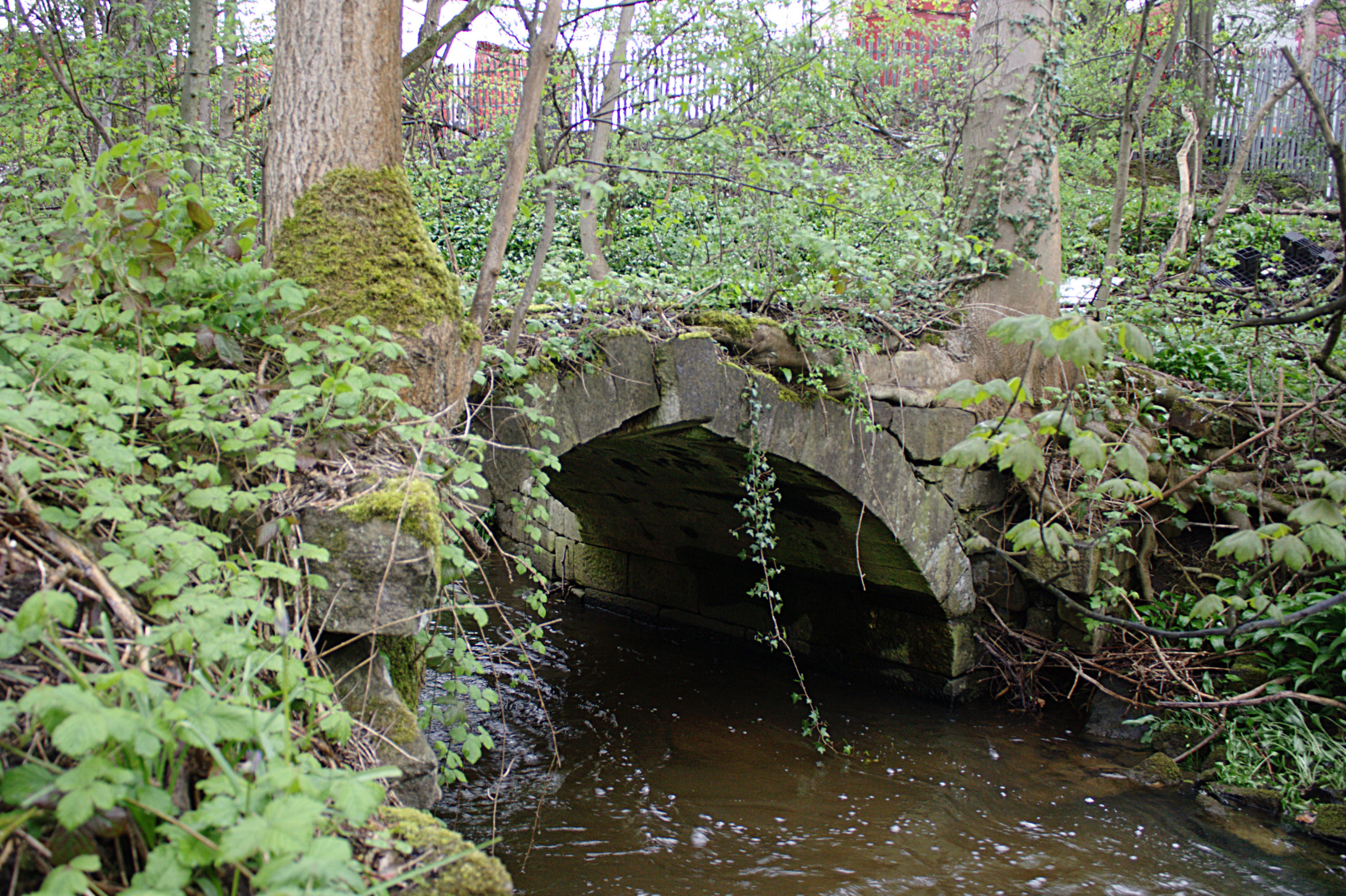Gill Beck above Otley Road – Paul Marfell